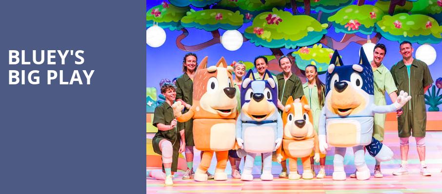Bluey Concert 2024: The Ultimate Musical Extravaganza!