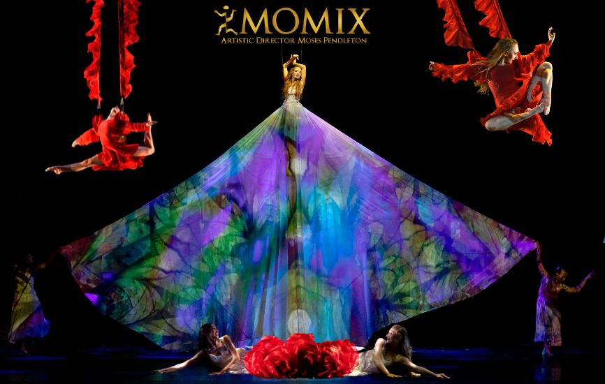 Momix Tour 2024: Unforgettable Dance Performances Await