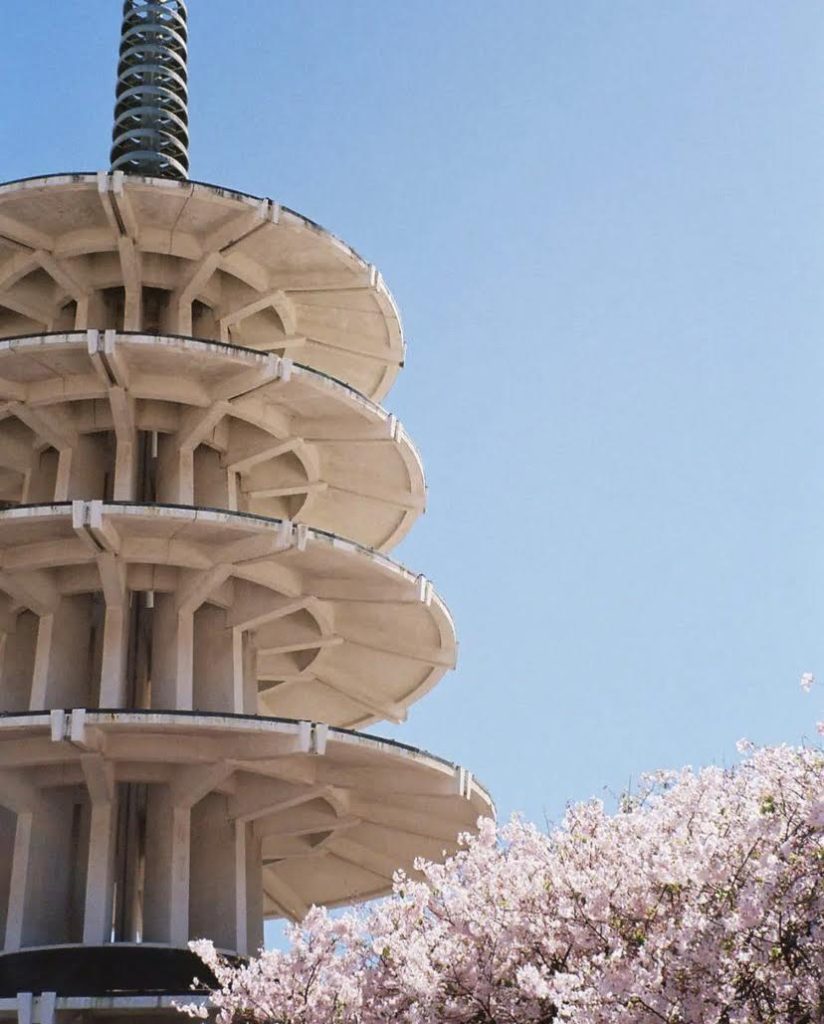 Blooming Beauty: Cherry Blossom Festival San Francisco 2026 Guide