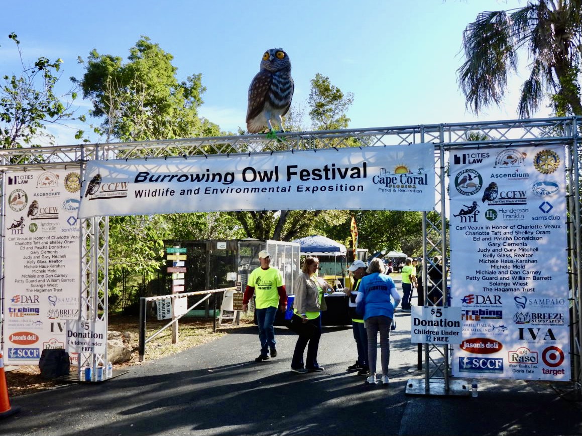 Burrowing Owl Festival 2026: A Celebration of Conservation and Wildlife